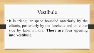 Female reproductive system | PPTX