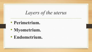 Female reproductive system | PPTX