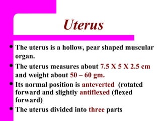 Femalereproductivesystem | PPT