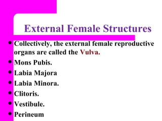 Femalereproductivesystem | PPT