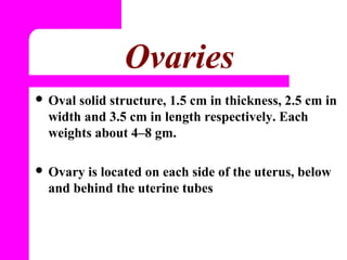 Femalereproductivesystem | PPT
