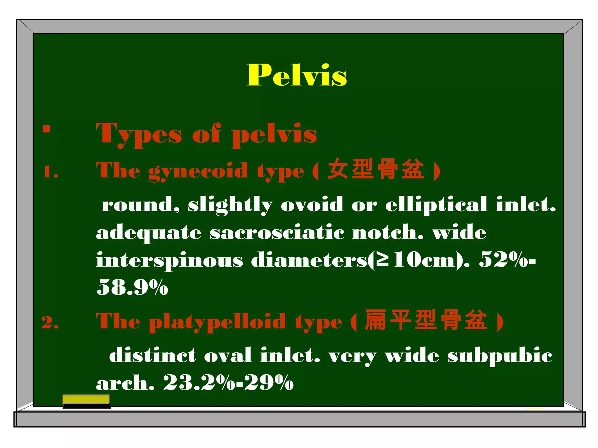 Female reproductive system | PPT | Pregnancy | Reproductive Health