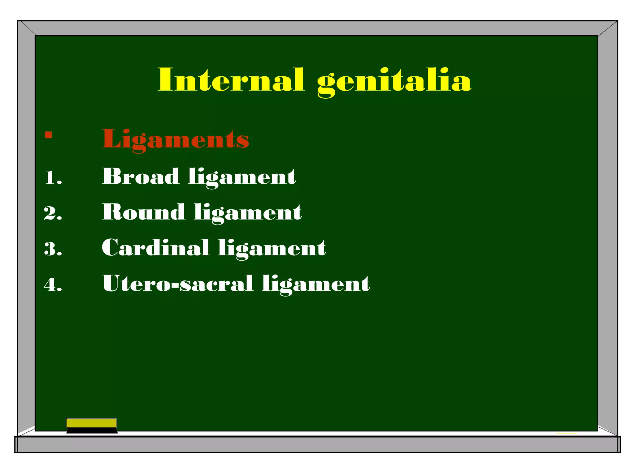 Female reproductive system | PPT | Pregnancy | Reproductive Health