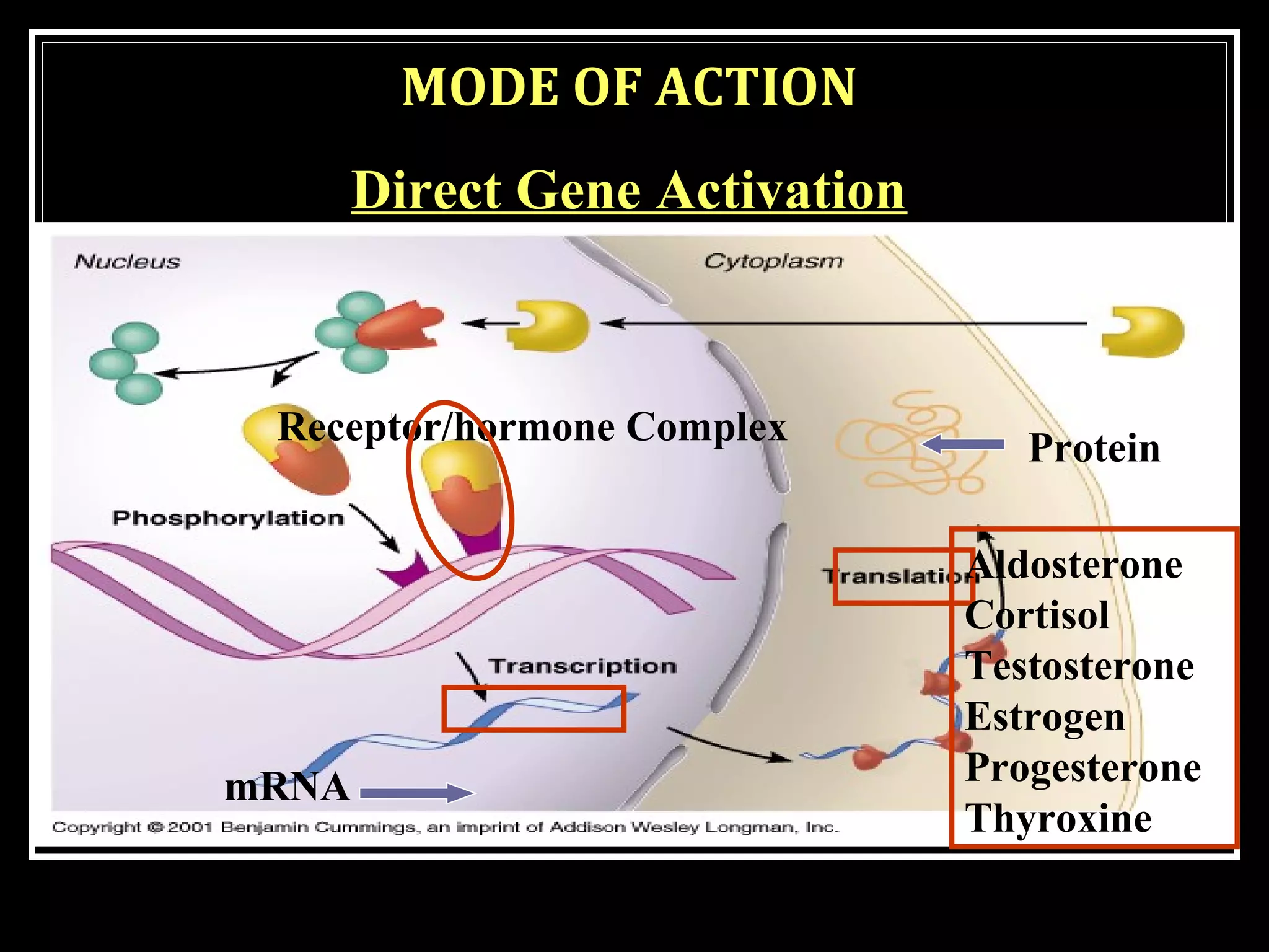 FEMALE REPRODUCTIVE HORMONES | PPT