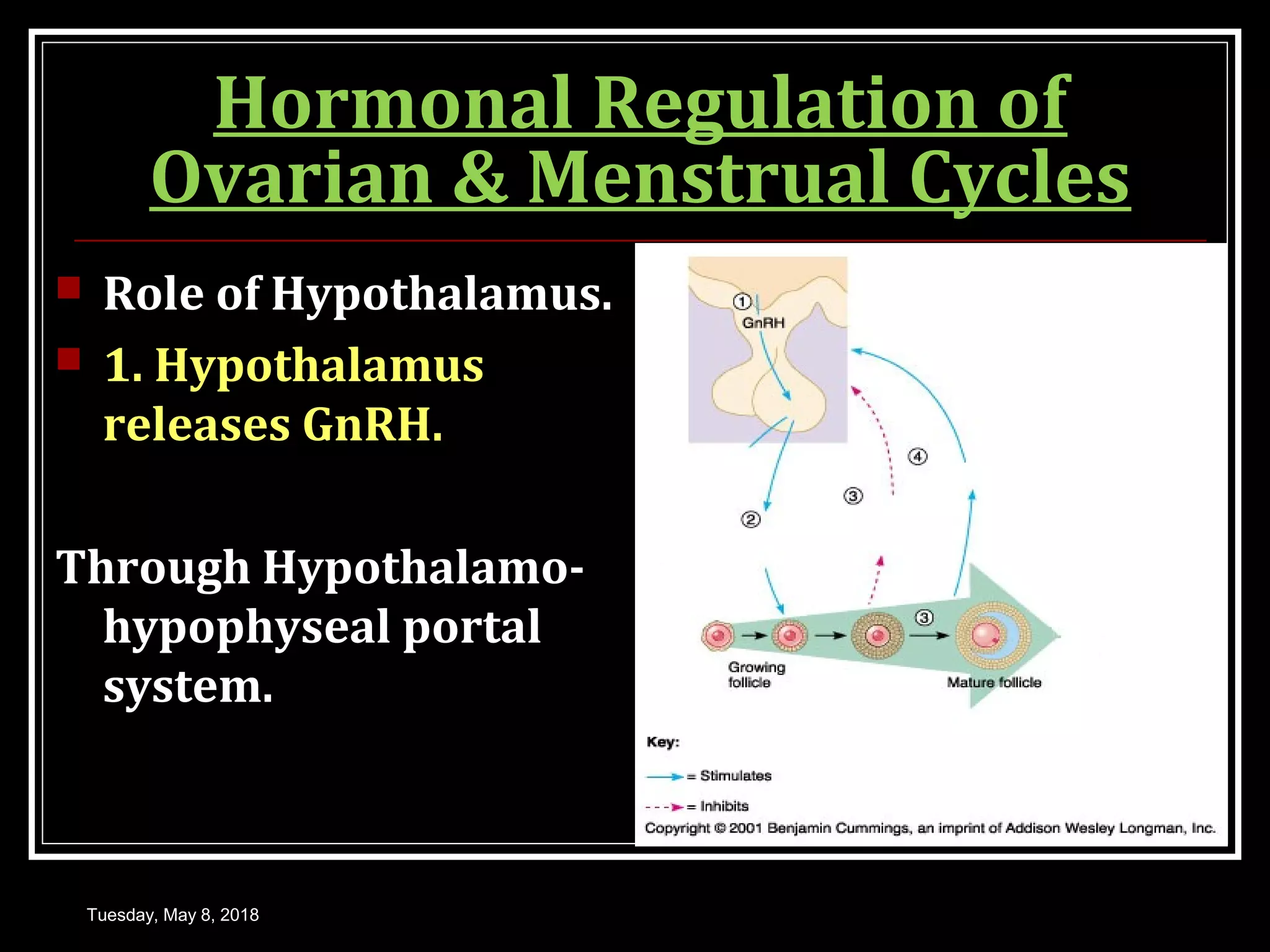 FEMALE REPRODUCTIVE HORMONES | PPT