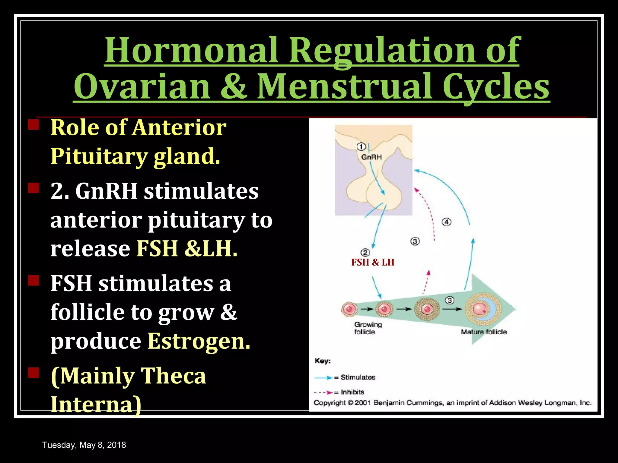 FEMALE REPRODUCTIVE HORMONES | PPT
