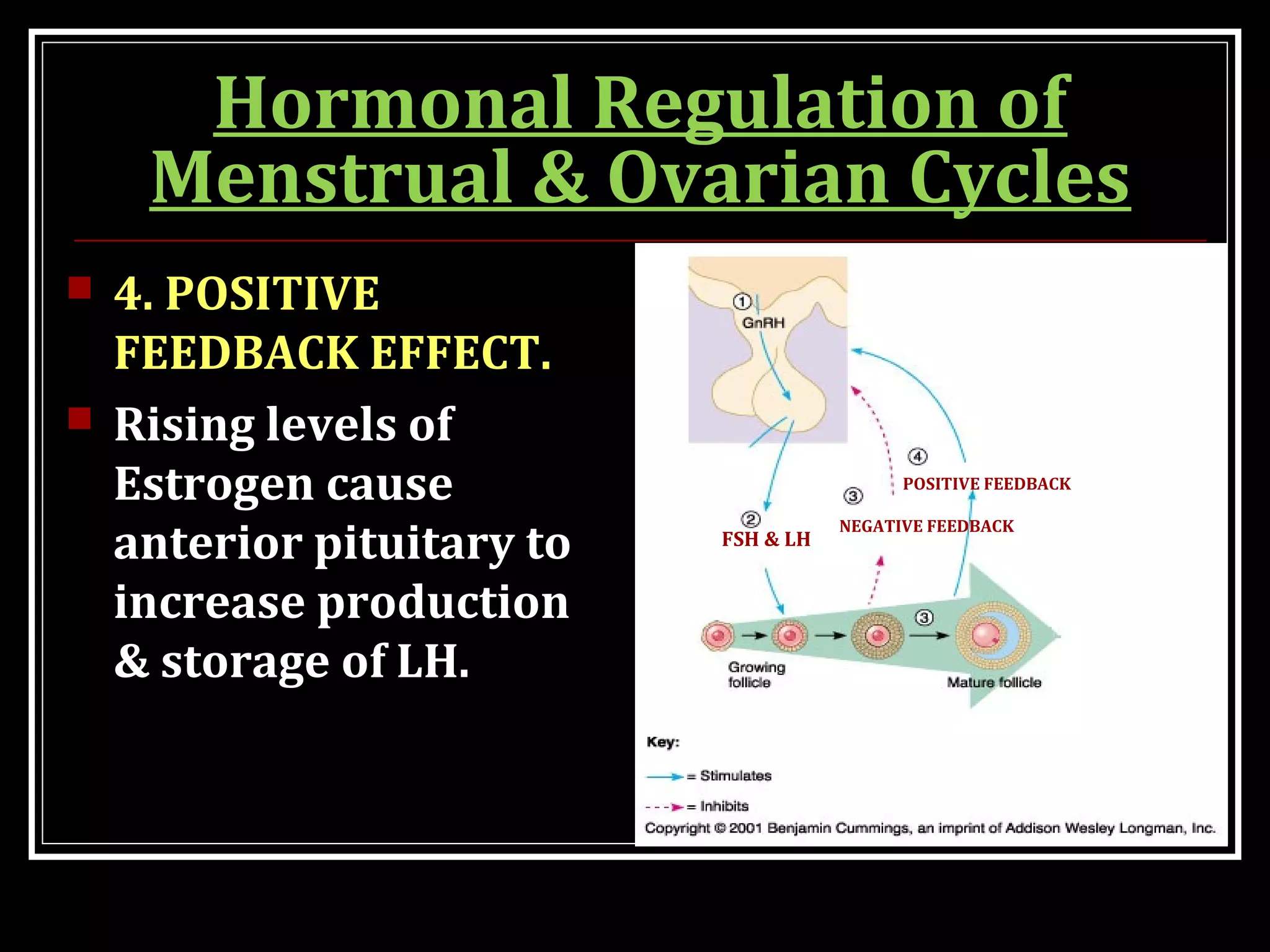 FEMALE REPRODUCTIVE HORMONES | PPT