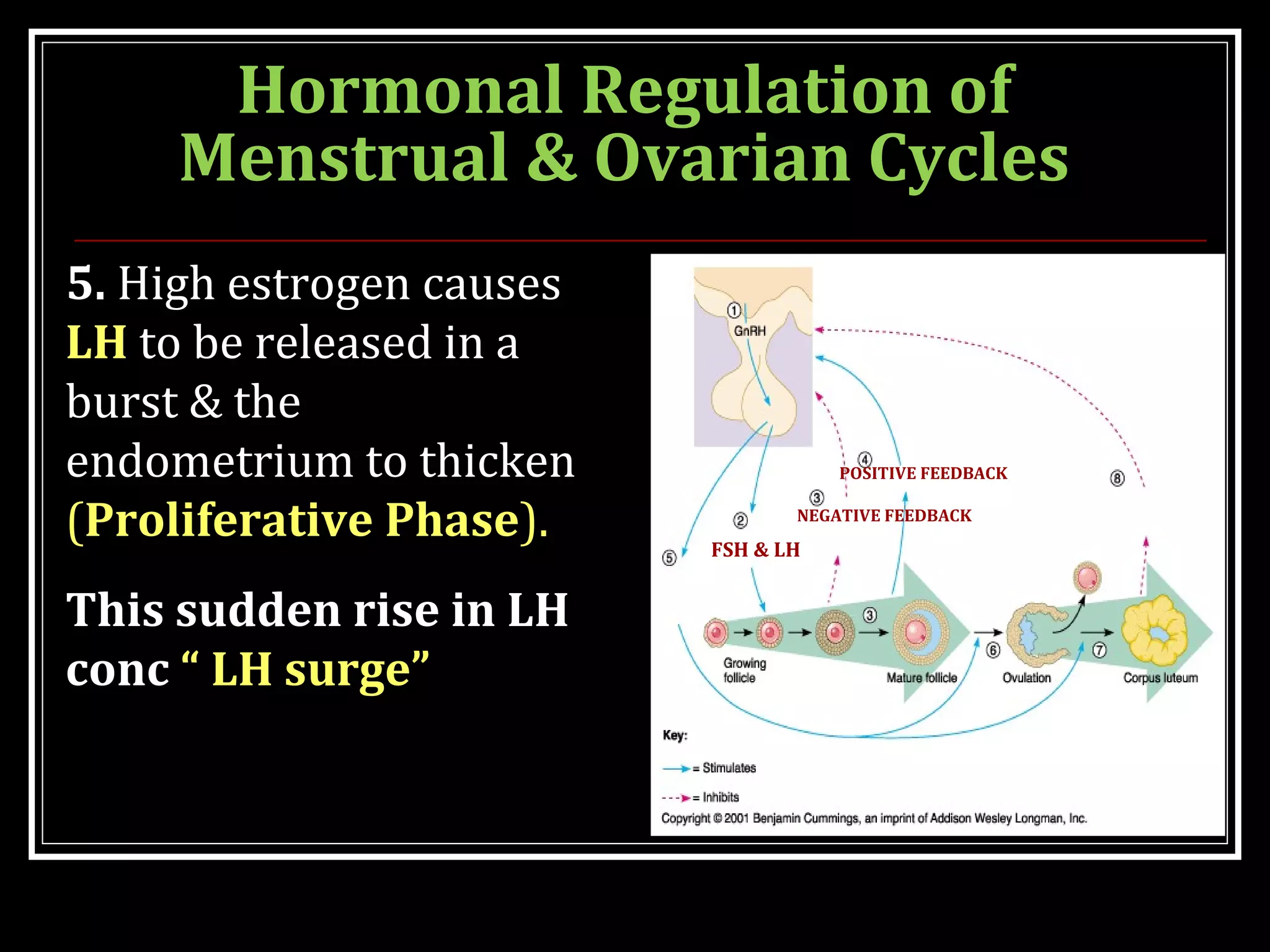FEMALE REPRODUCTIVE HORMONES | PPT