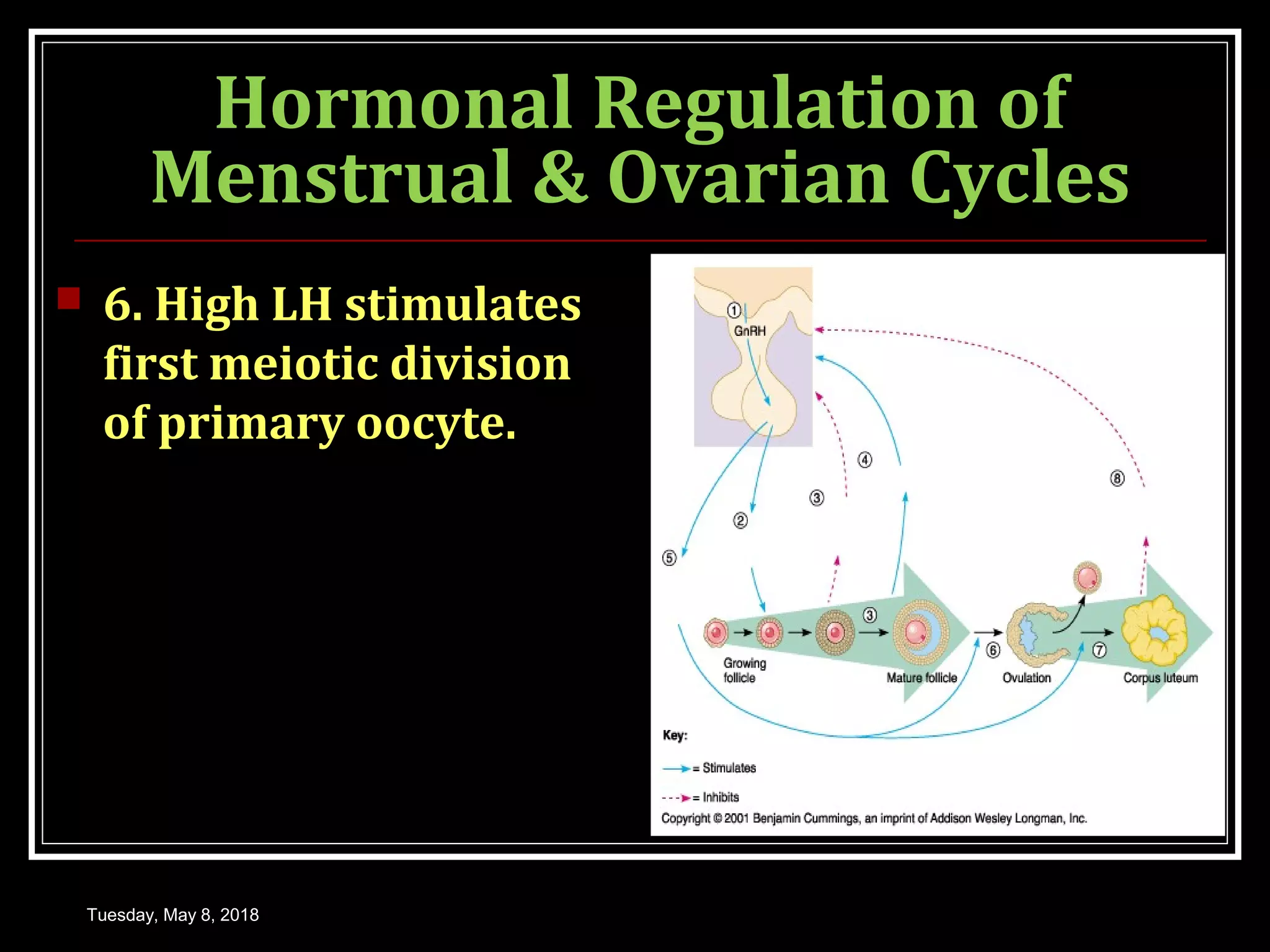 FEMALE REPRODUCTIVE HORMONES | PPT