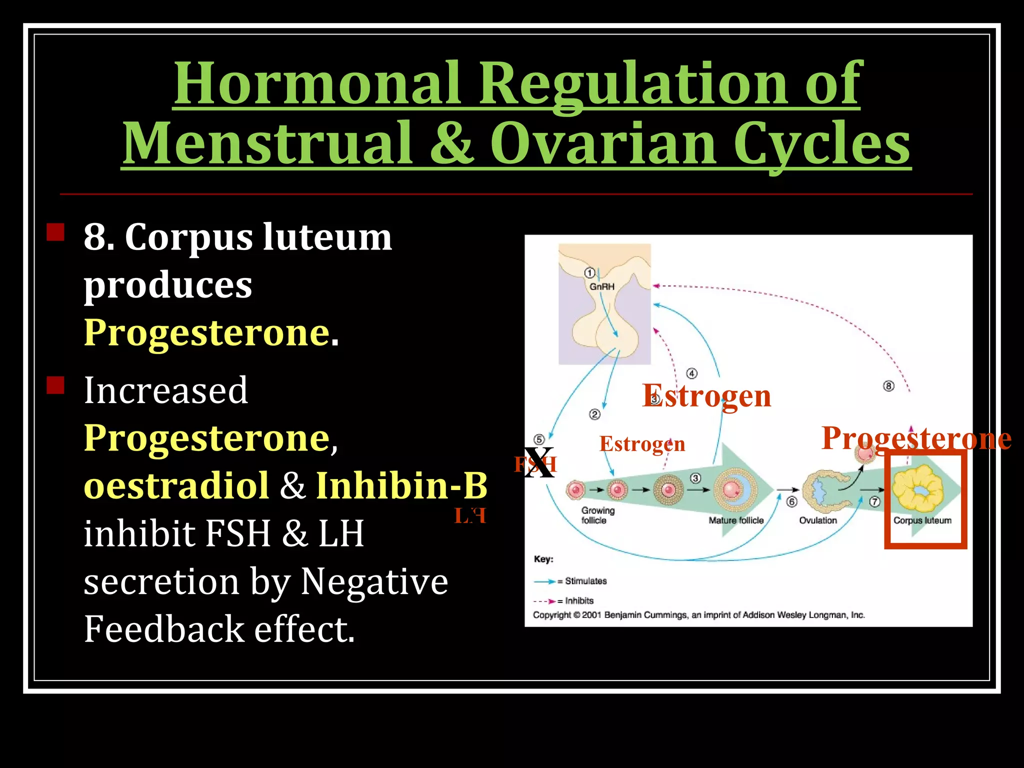 FEMALE REPRODUCTIVE HORMONES | PPT
