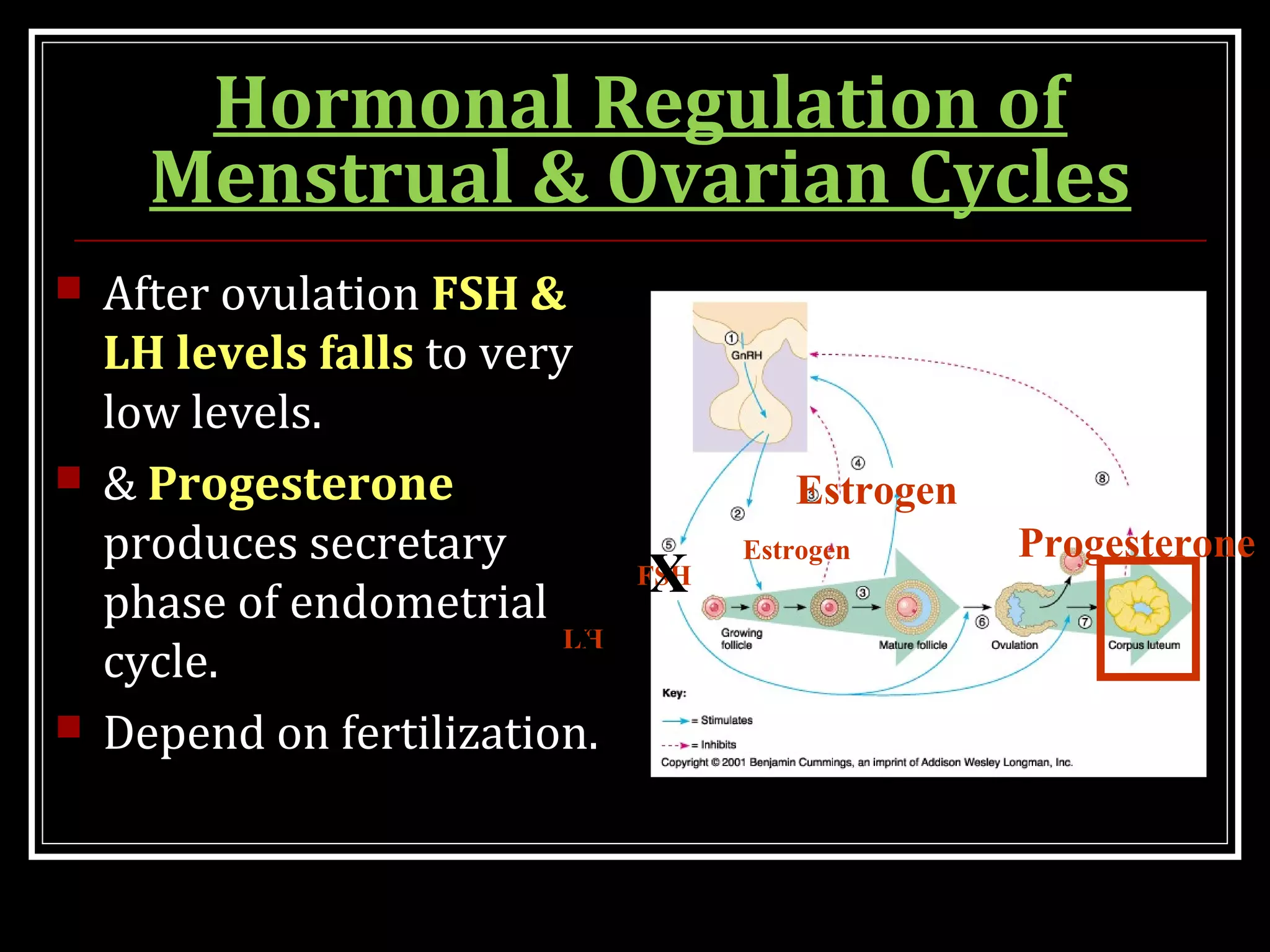 FEMALE REPRODUCTIVE HORMONES | PPT