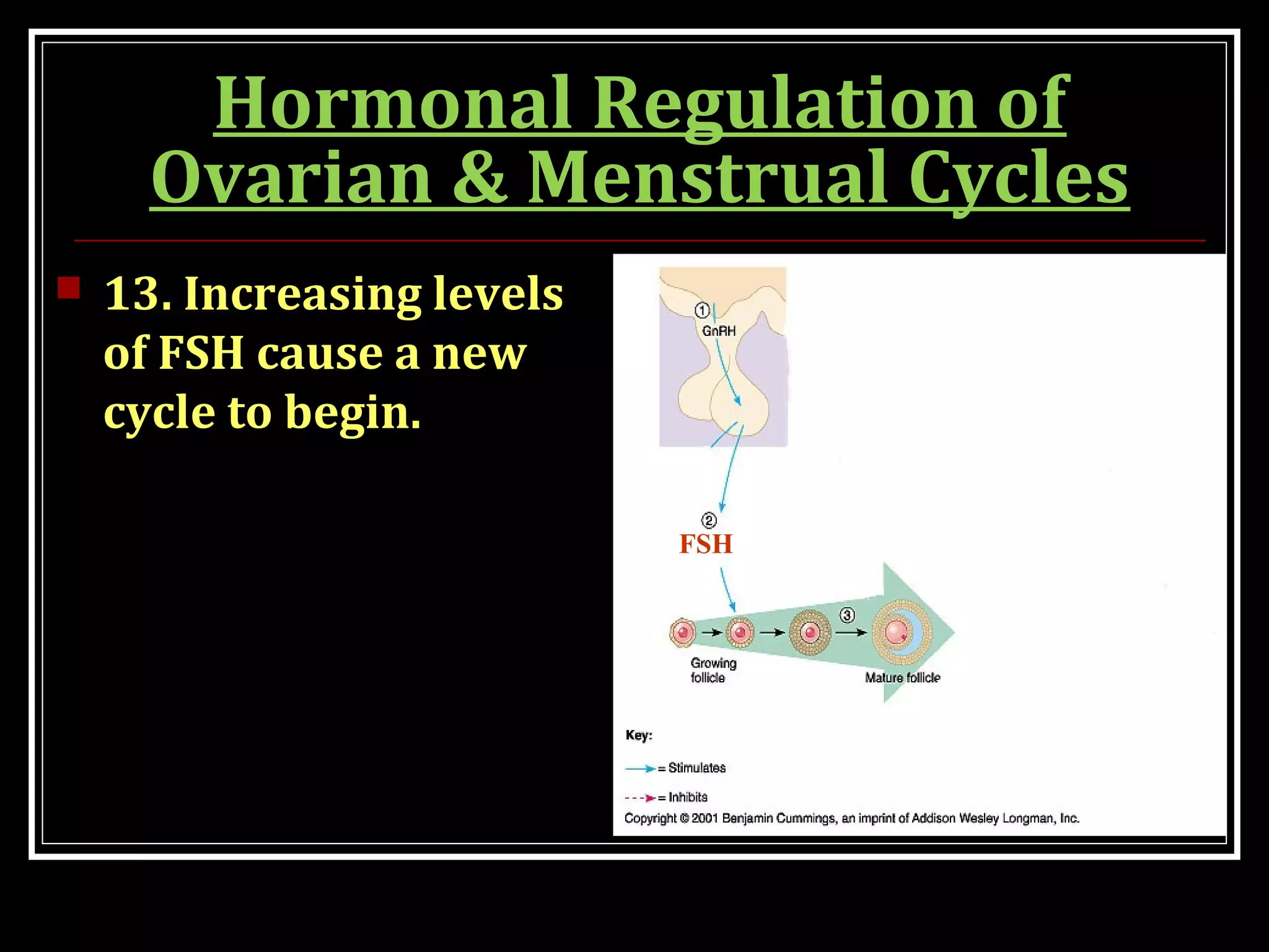 FEMALE REPRODUCTIVE HORMONES | PPT