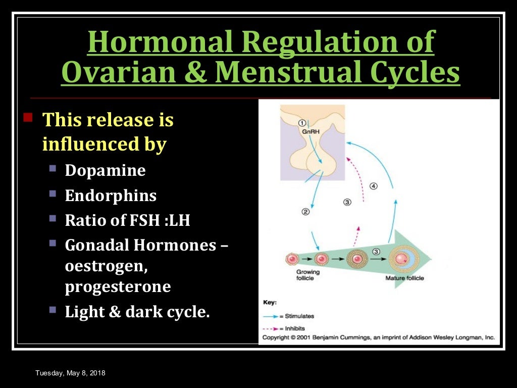 Reproductive Hormones In Women _ Female Hormones – WTQM