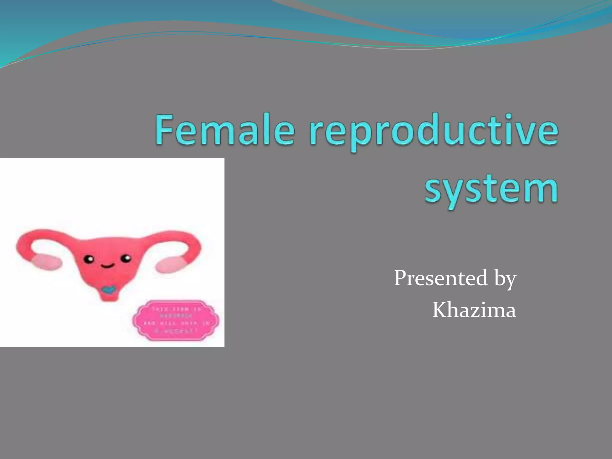 Female reproductive system | PPTX