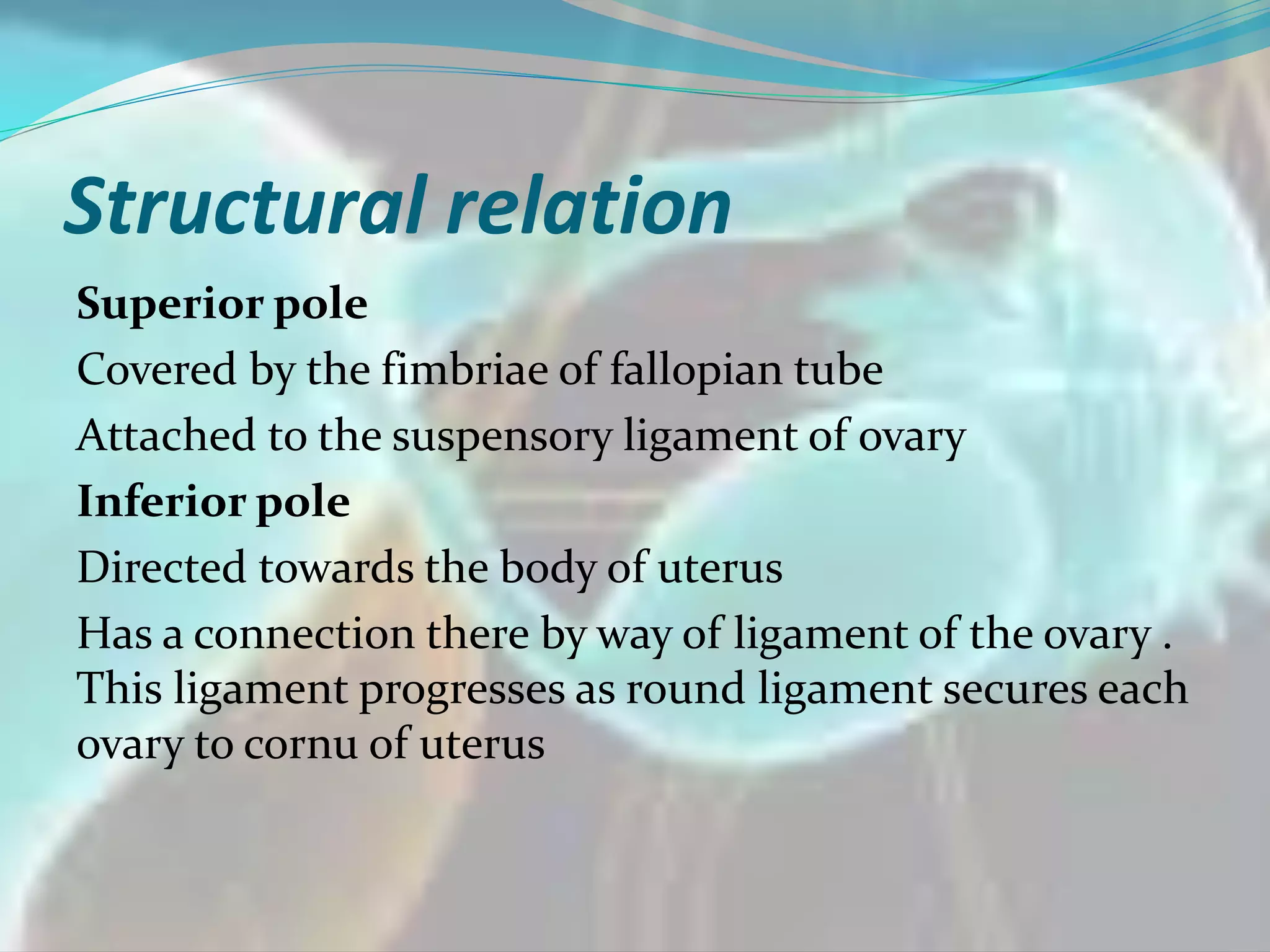 Female reproductive system | PPTX