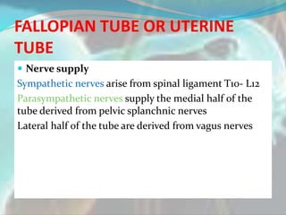 Female reproductive system | PPT