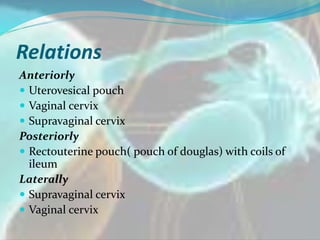 Female reproductive system | PPTX