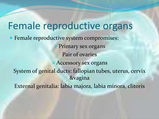Female reproductive system | PPTX