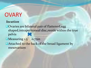 Female reproductive system | PPTX