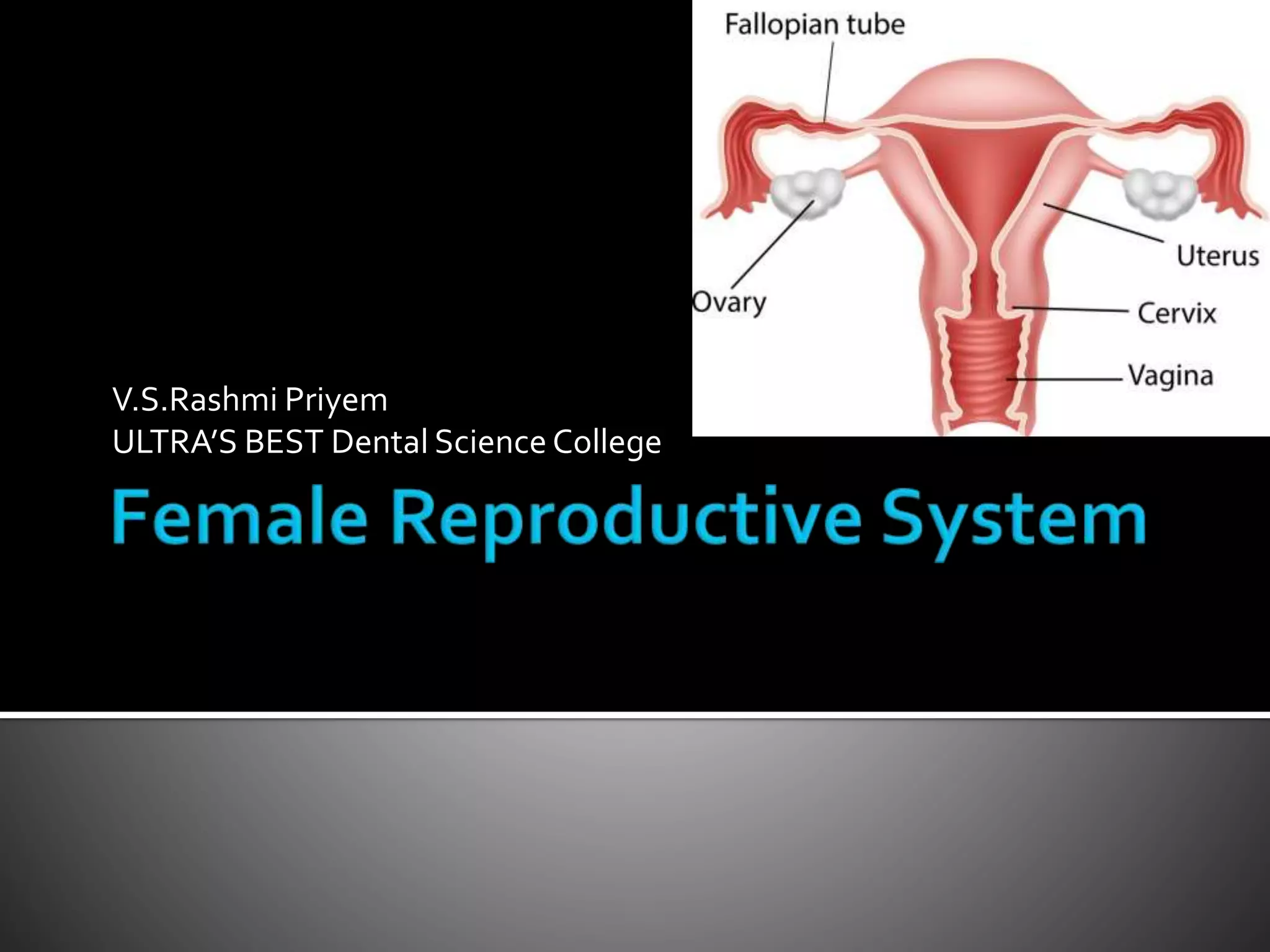 Female Reproductive System | PPTX