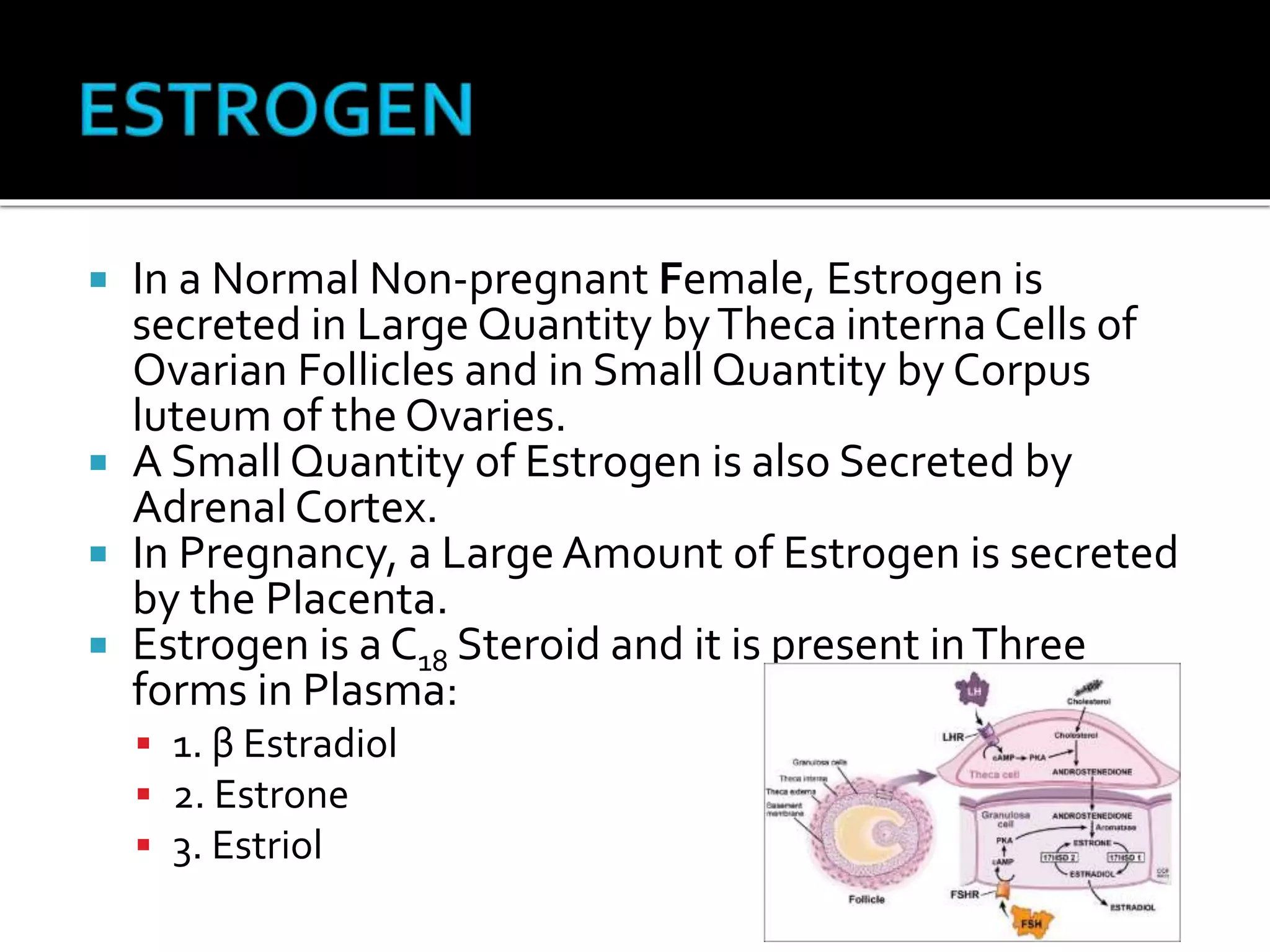 Female Reproductive System | PPTX