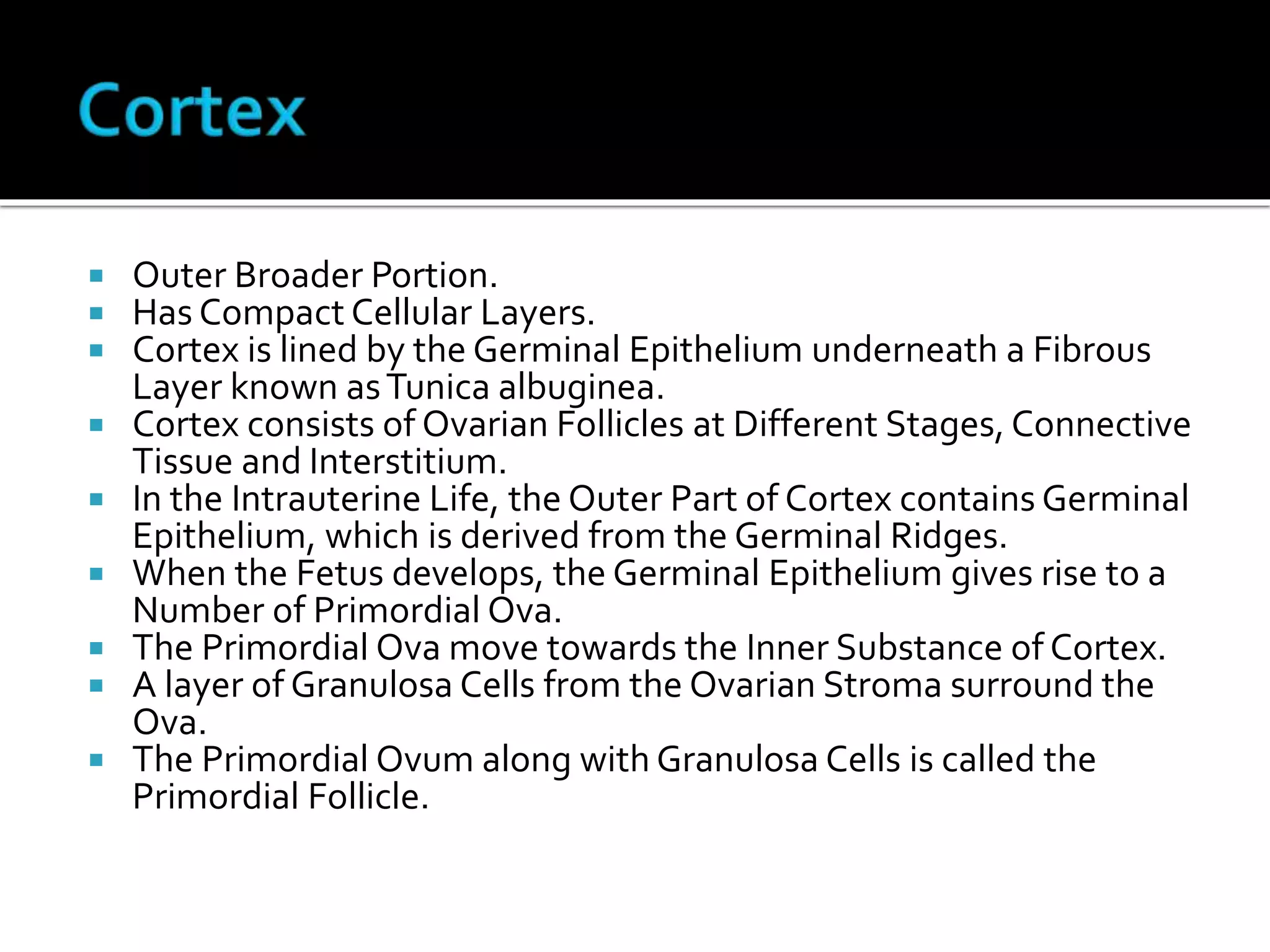Female Reproductive System | PPTX