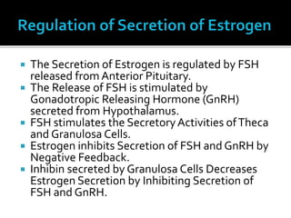 Female Reproductive System | PPTX | Pregnancy | Reproductive Health