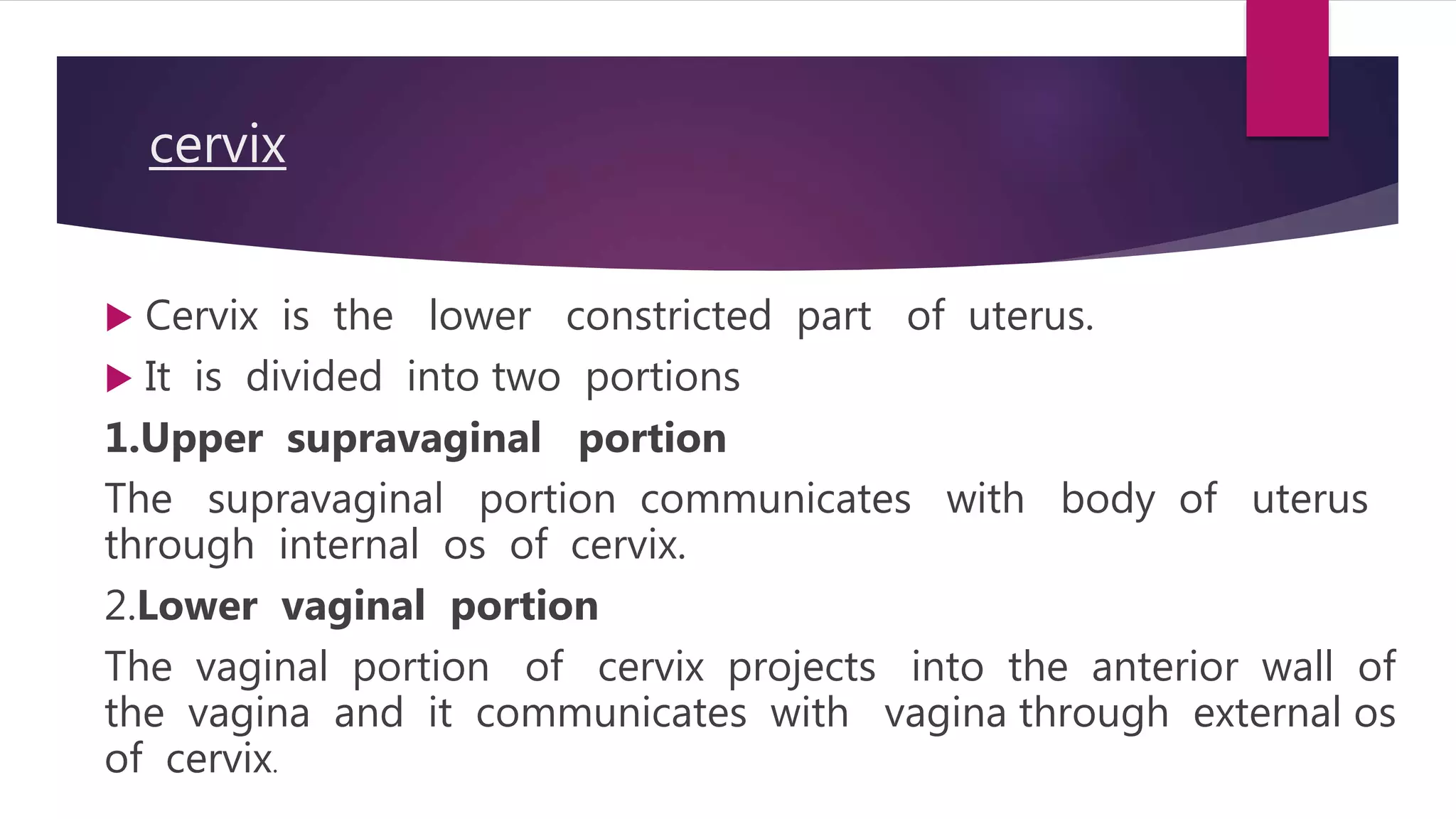 Female reproductive system | PPTX