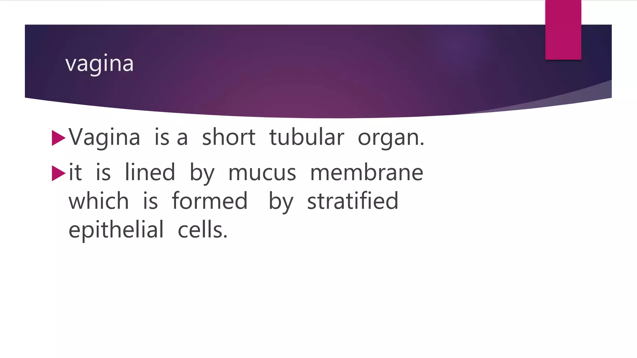 Female reproductive system | PPTX