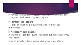 Female reproductive system | PPTX
