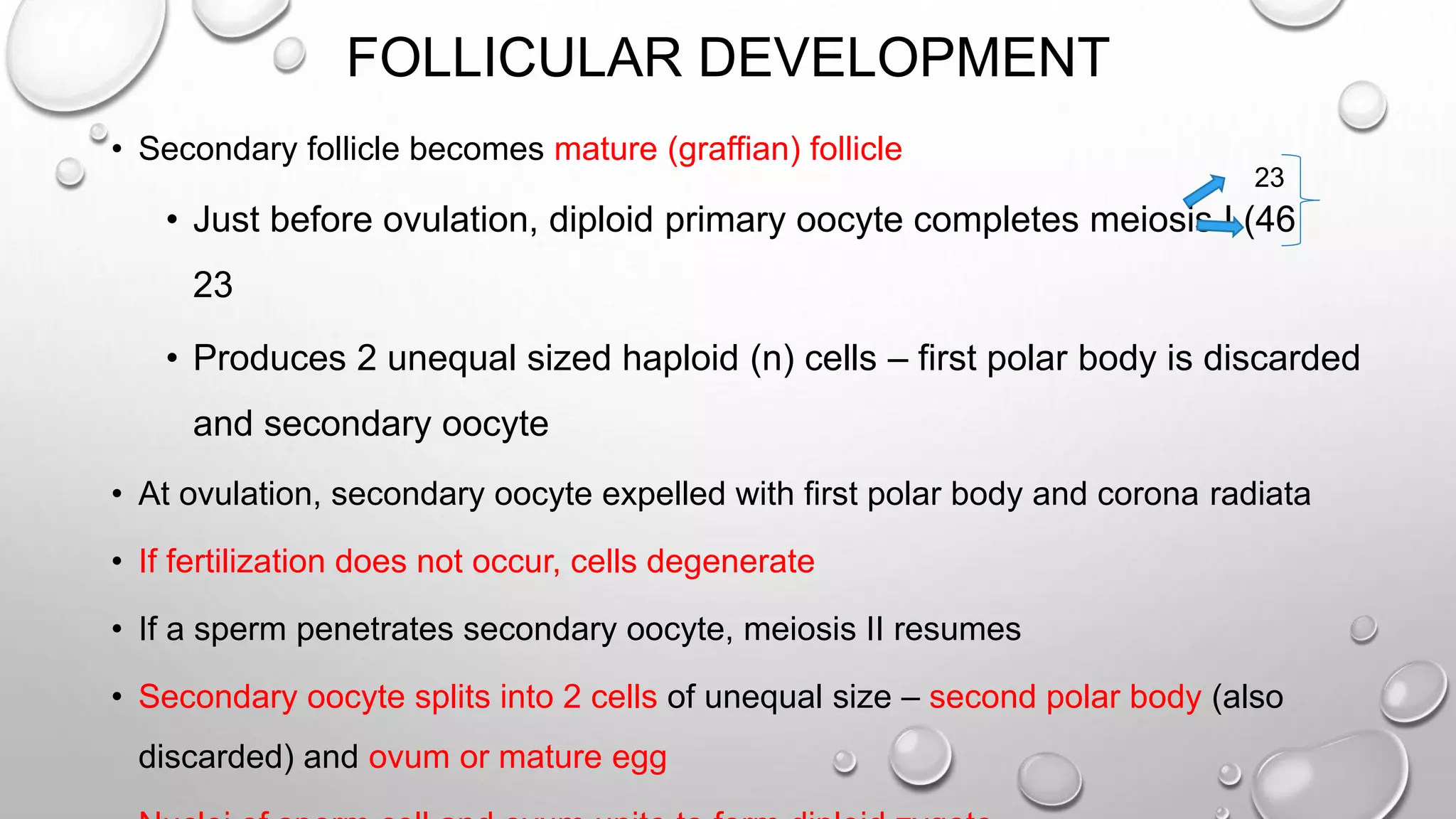 Female reproductive system 2 (Histology of Ovary, Oogenesis ...