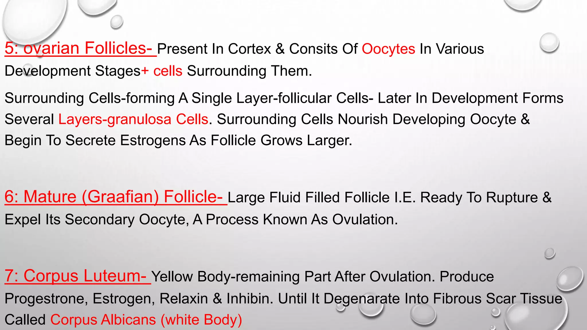 Female reproductive system 2 (Histology of Ovary, Oogenesis ...