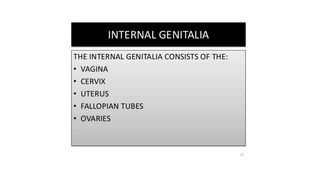 Female reproductive system | PPTX