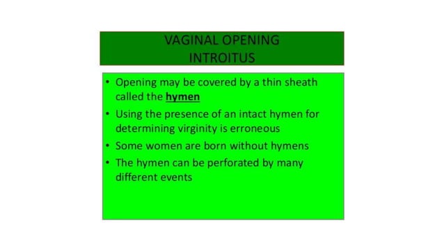 Female reproductive system | PPTX