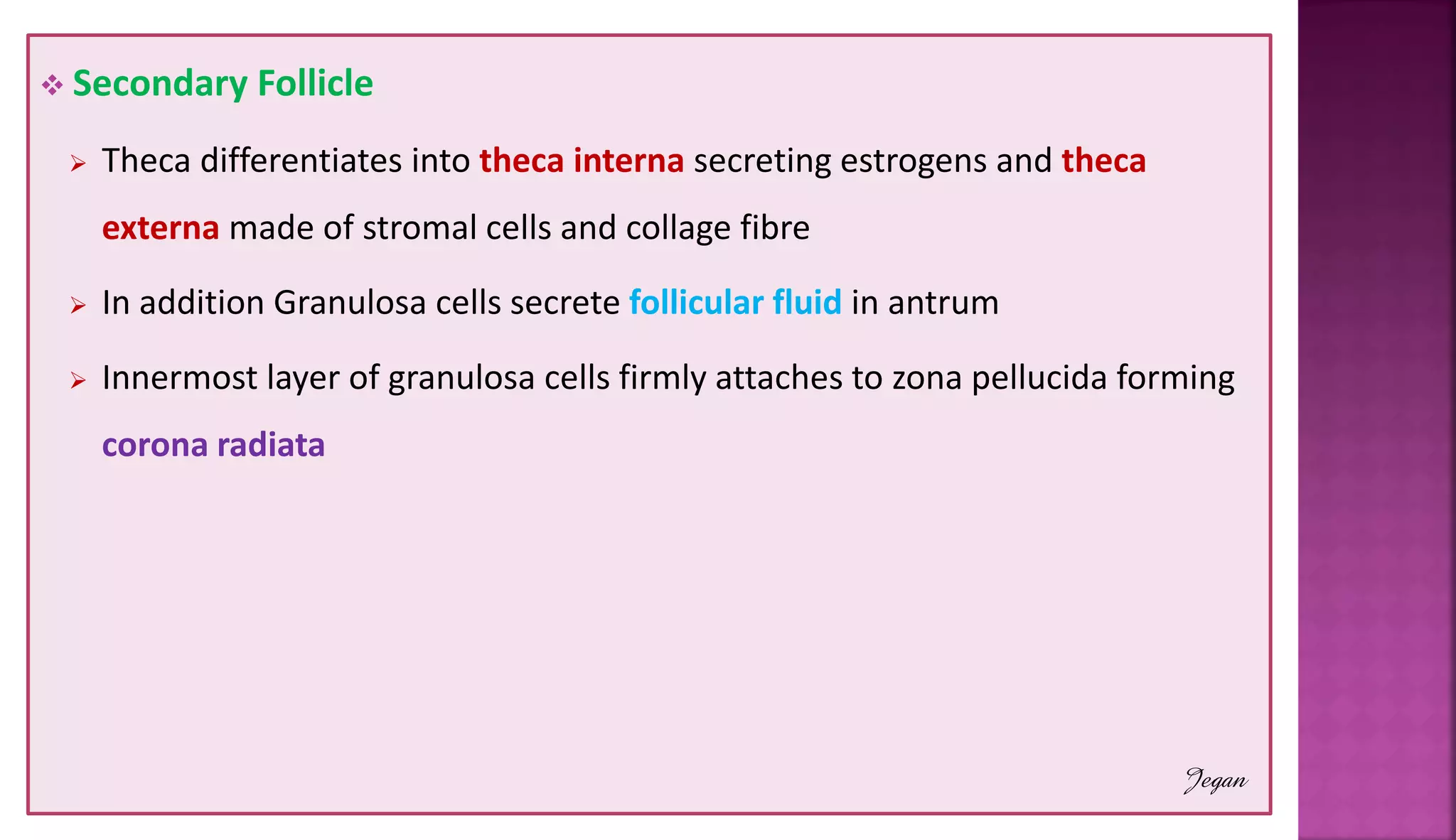 Female Reproductive system | PDF