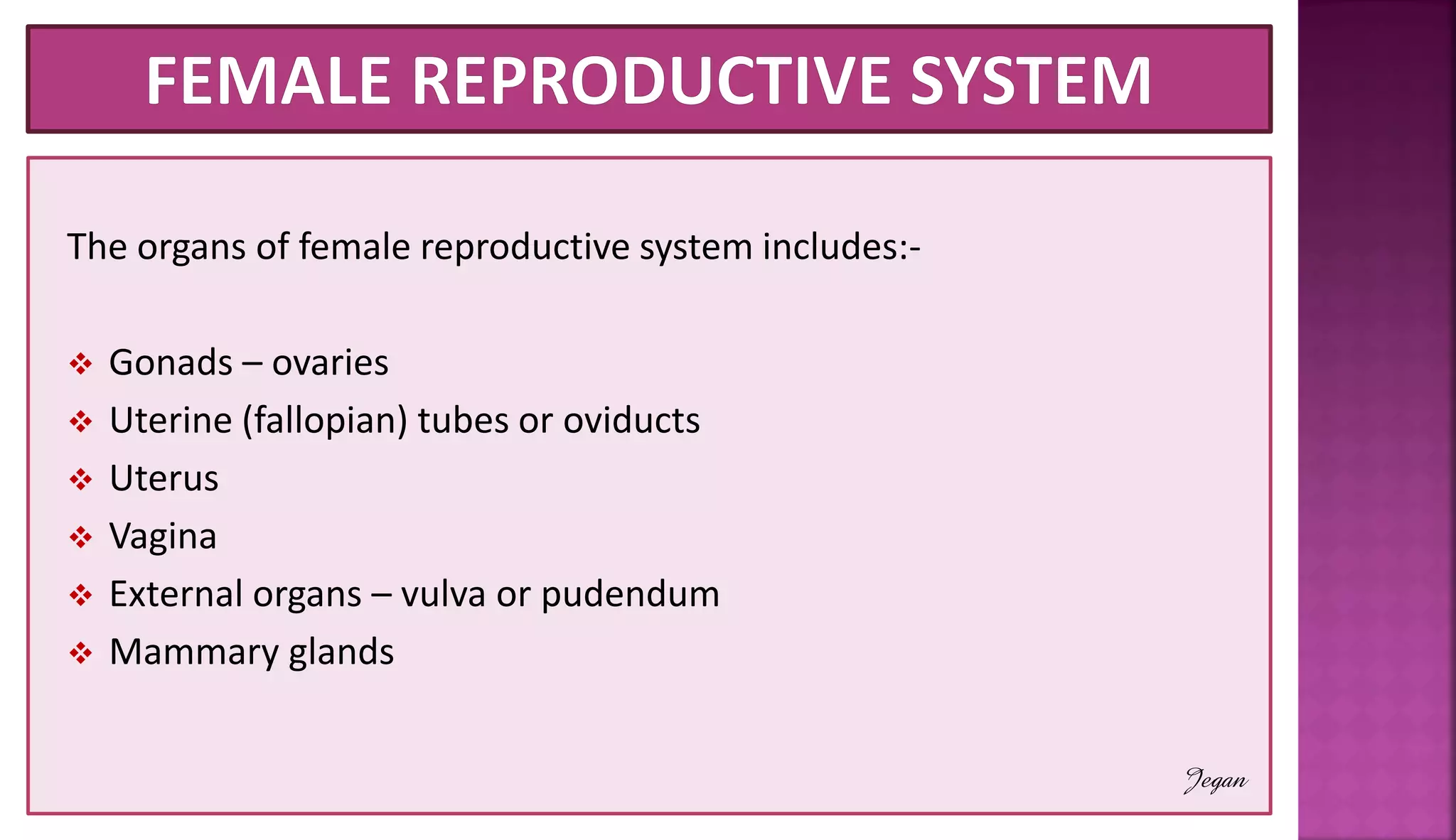 Female Reproductive system | PDF