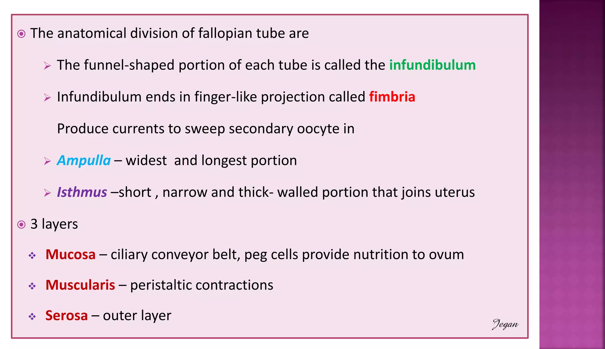 Female Reproductive system | PDF