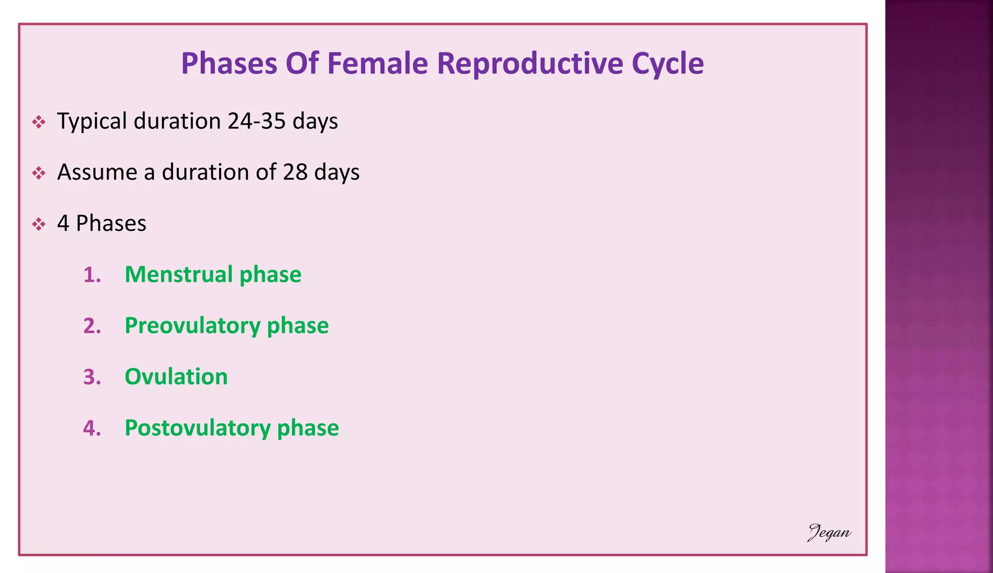 Female Reproductive System Ppt
