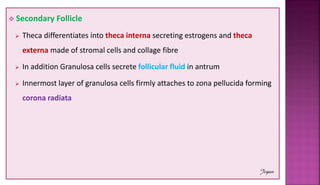 Female Reproductive system | PDF