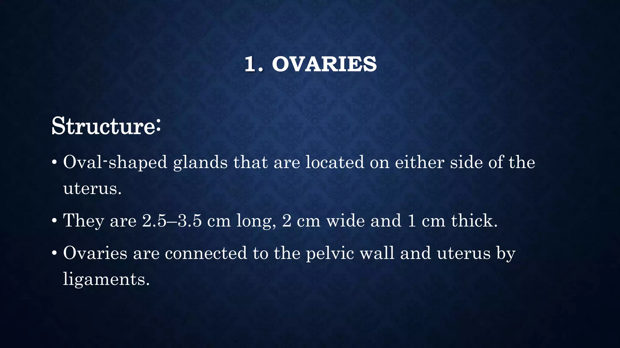 Female reproductive system | PPTX