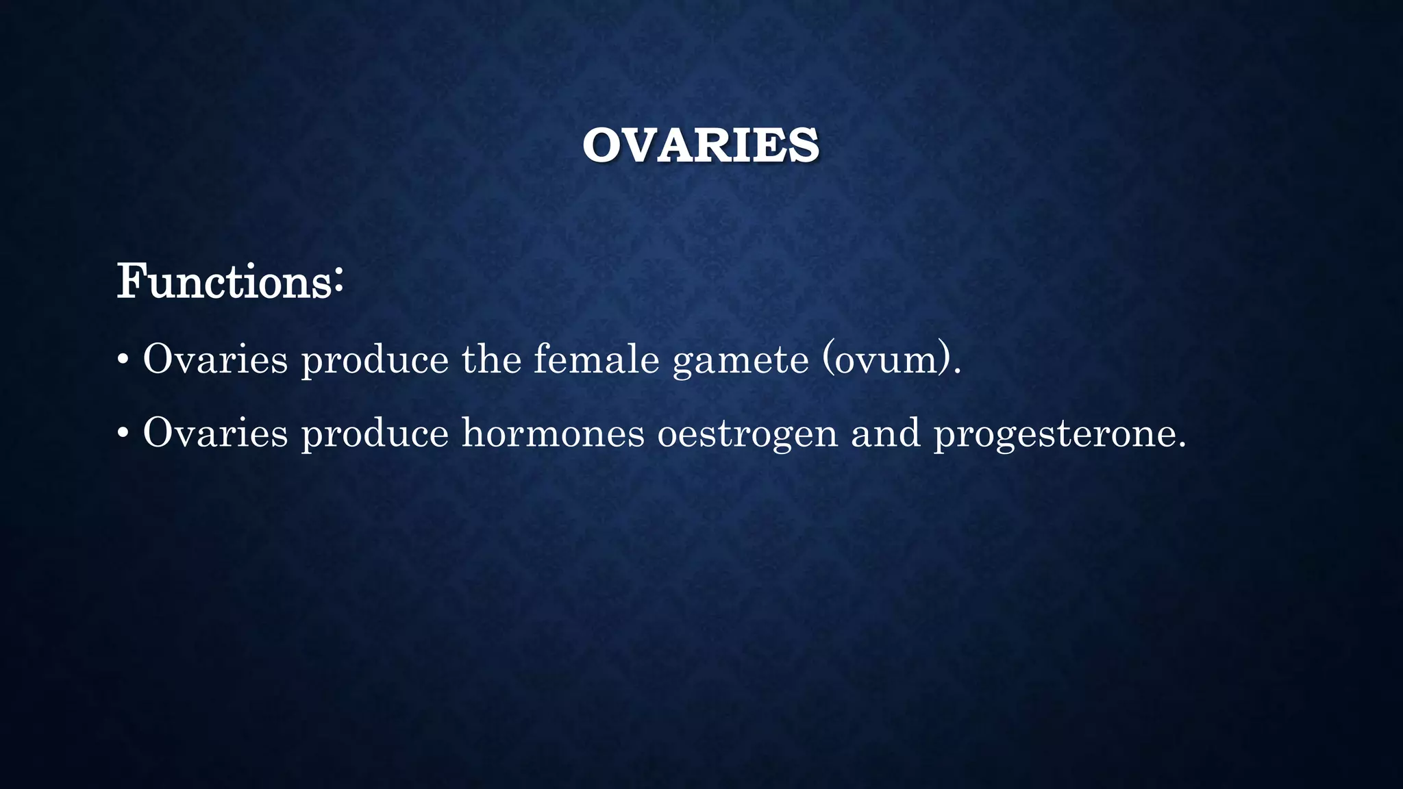 Female reproductive system | PPTX