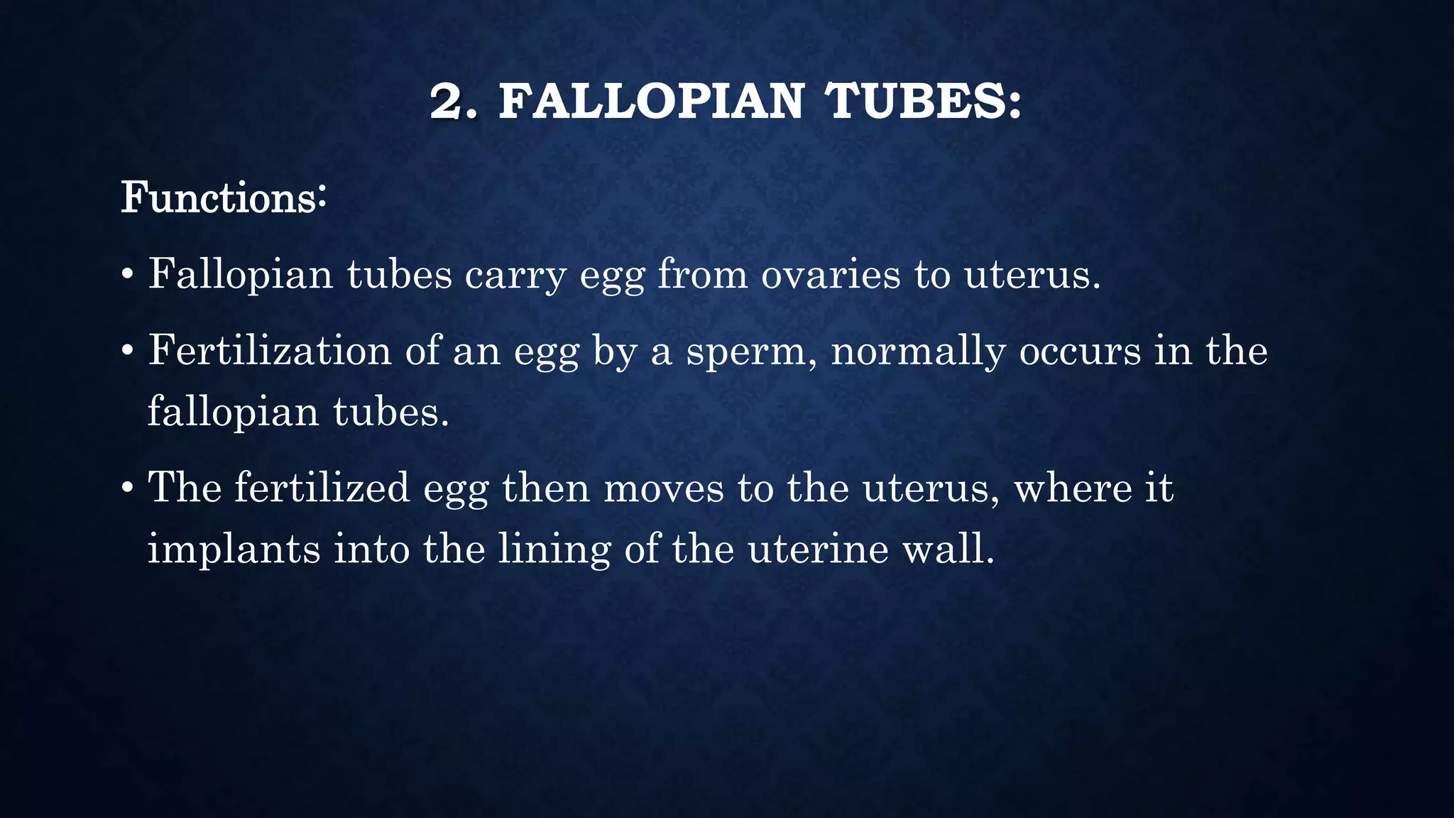 Female reproductive system | PPTX