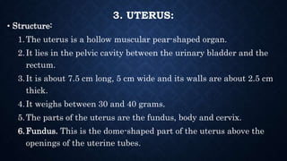 Female reproductive system | PPTX