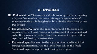 Female reproductive system | PPTX