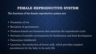 Female reproductive system | PPTX