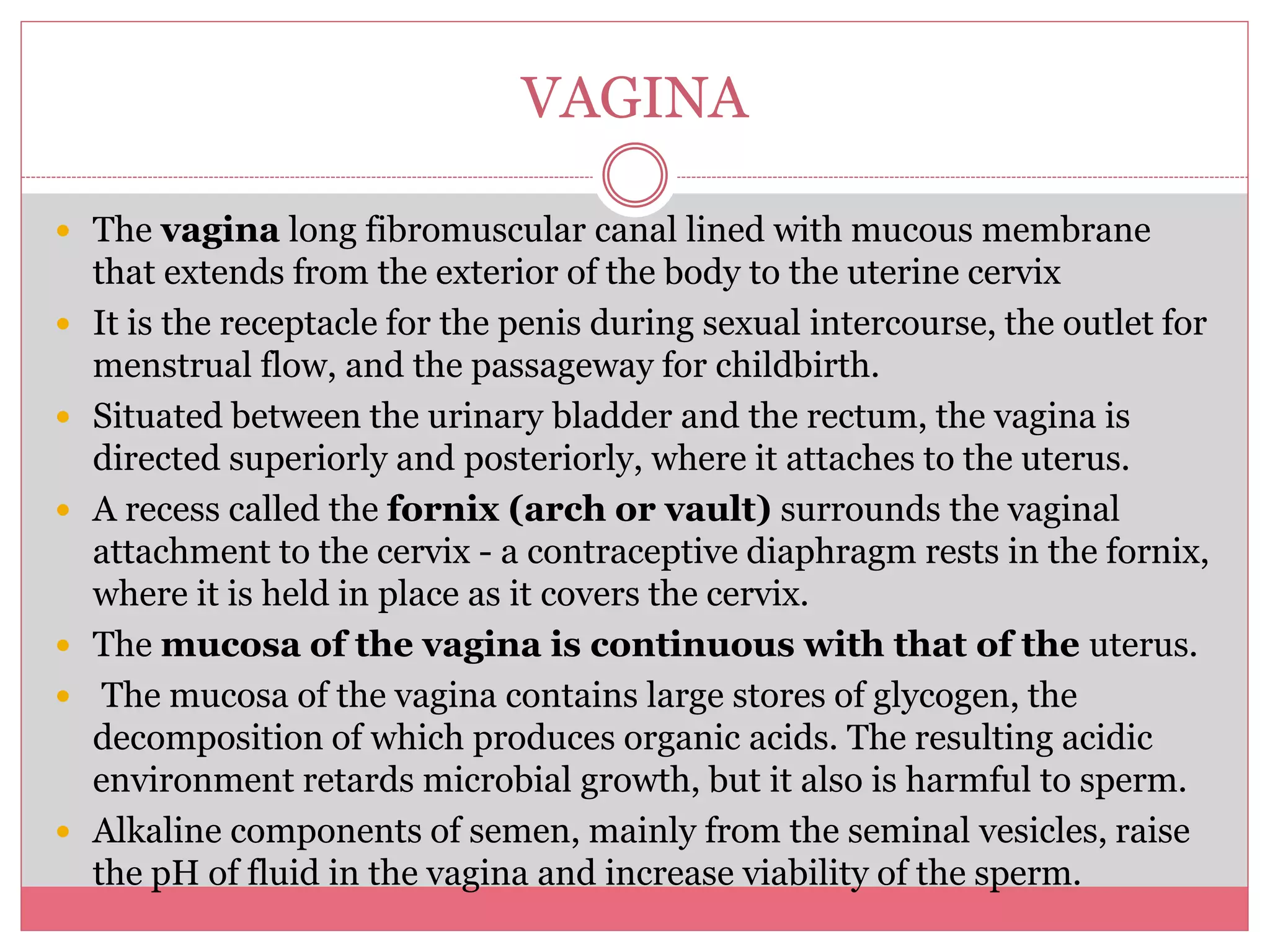 Female reproductive system | PPTX