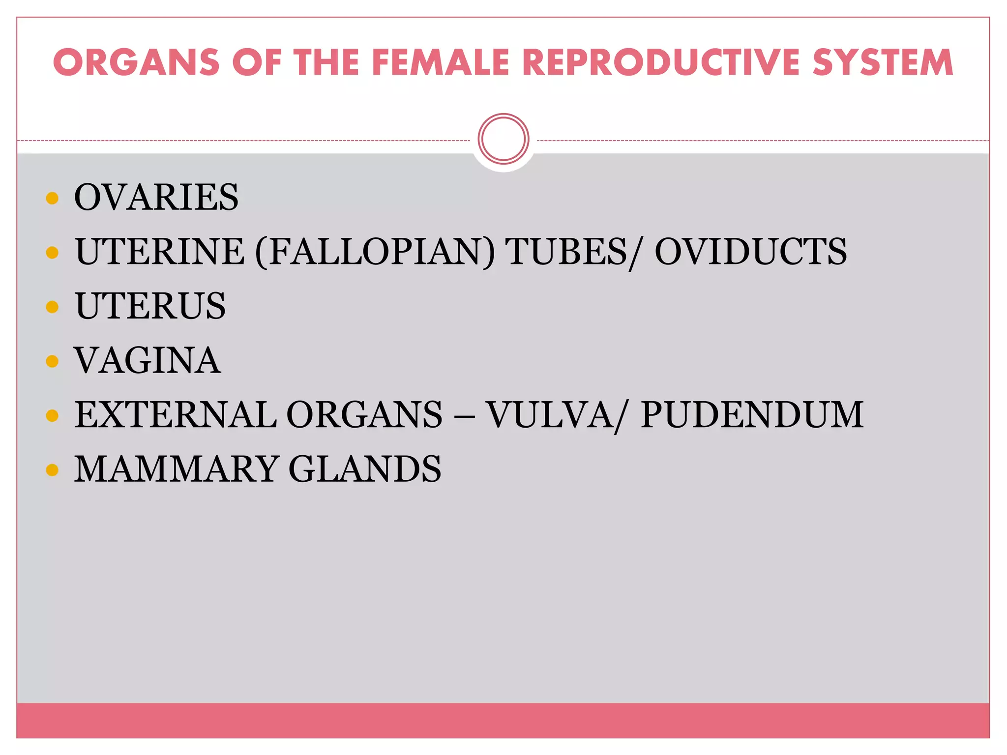 Female reproductive system | PPTX