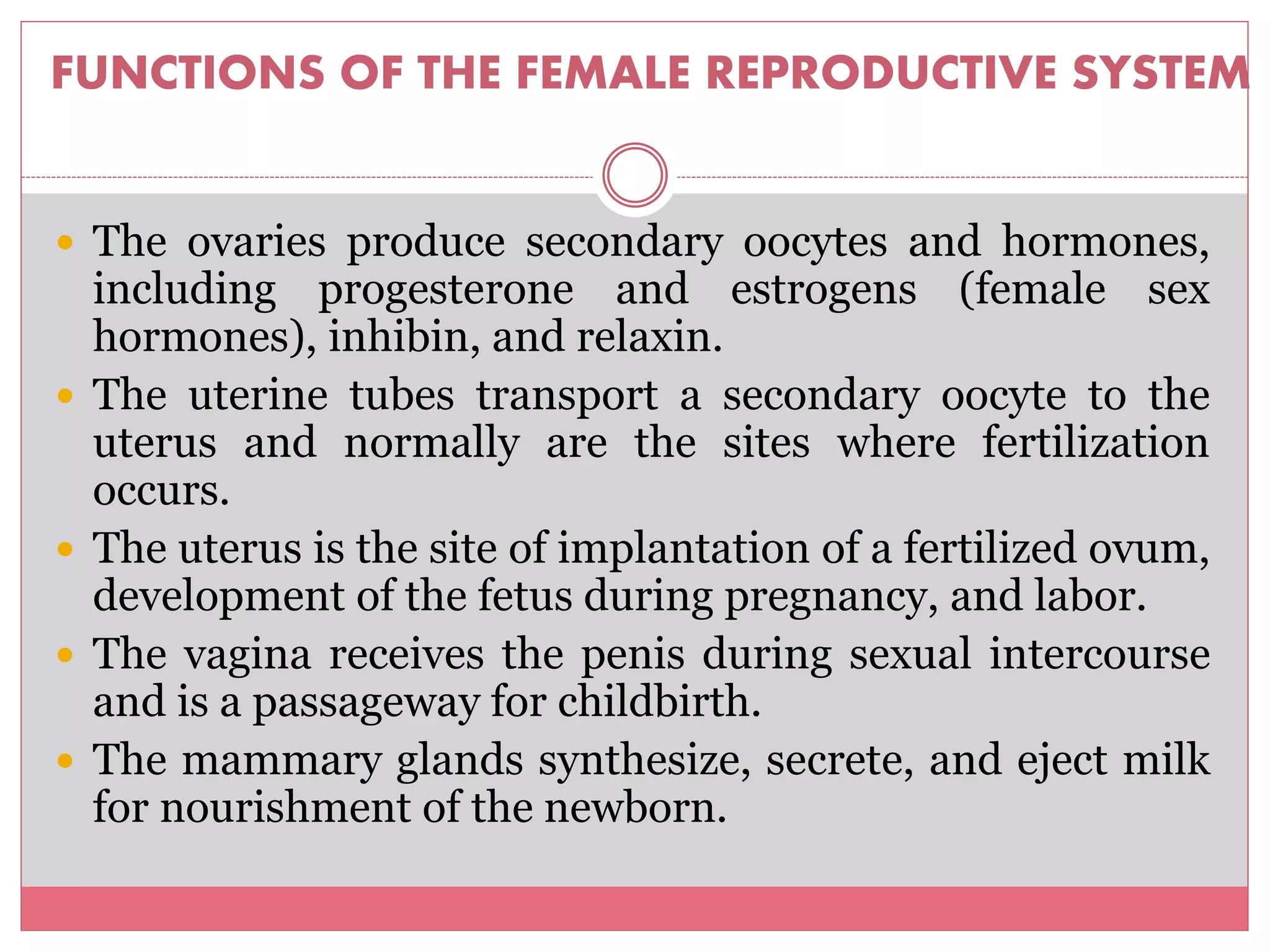 Female reproductive system | PPTX