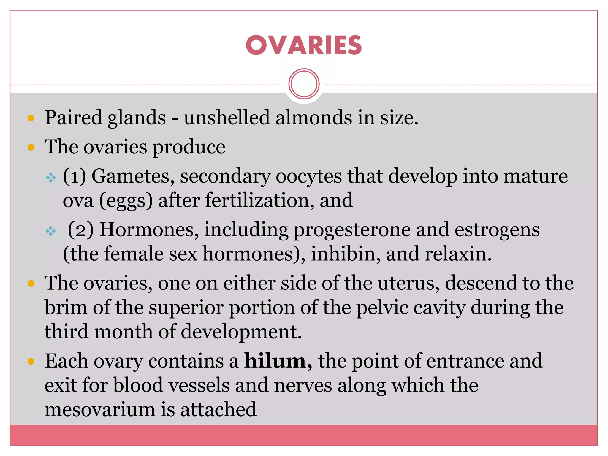 Female reproductive system | PPTX