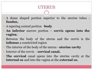 Female reproductive system | PPTX